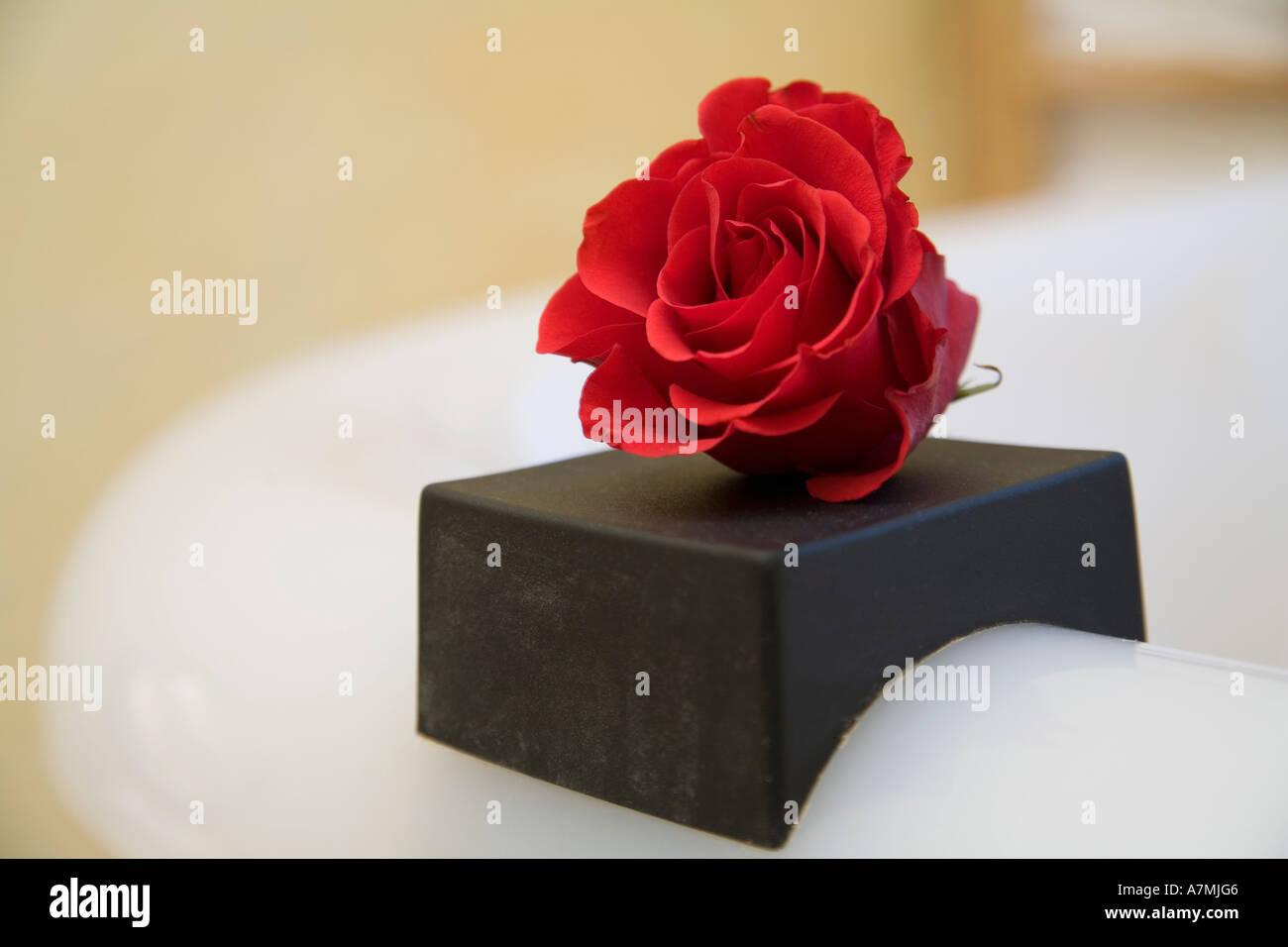 Rose edge hi-res stock photography and images - Alamy