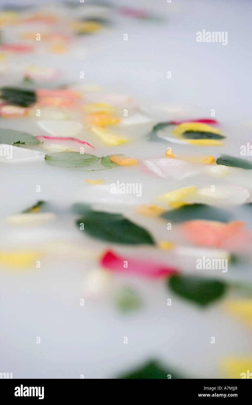 Flower petals floating on water in bathtub Stock Photo - Alamy