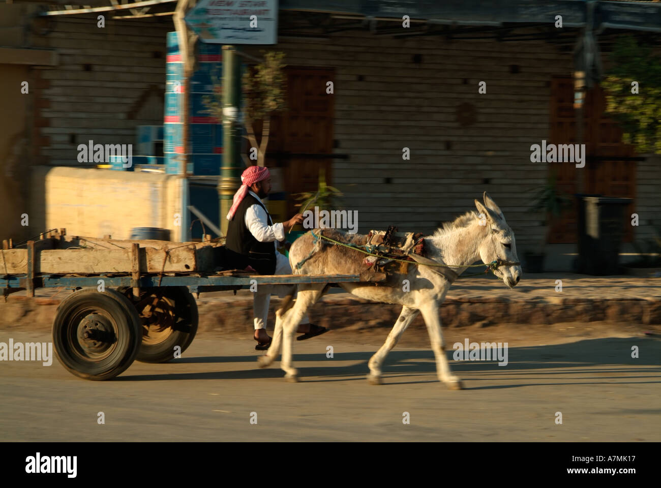 Driving donkey cart hi-res stock photography and images - Alamy