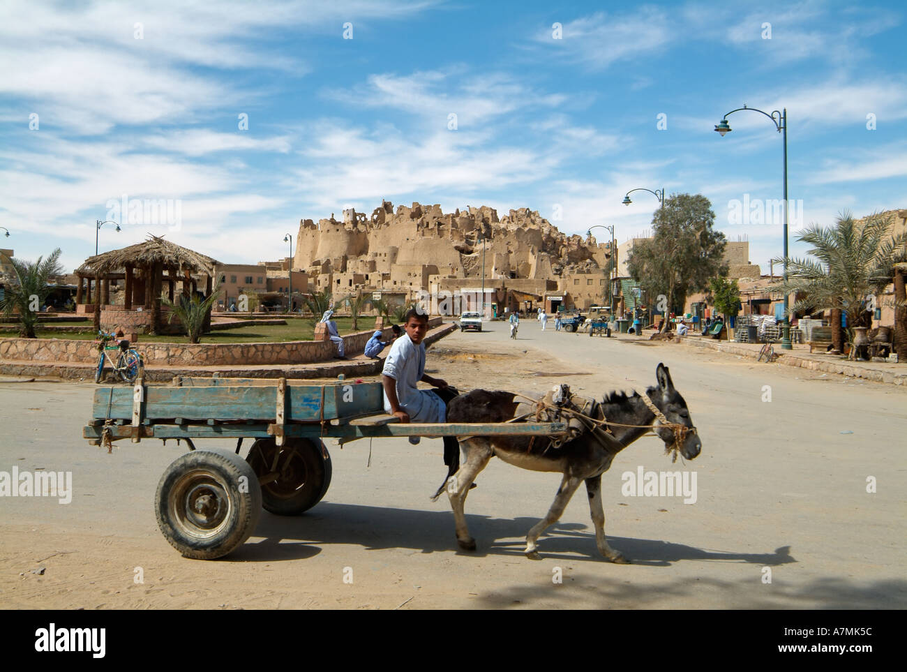 Donkey square hi-res stock photography and images - Alamy