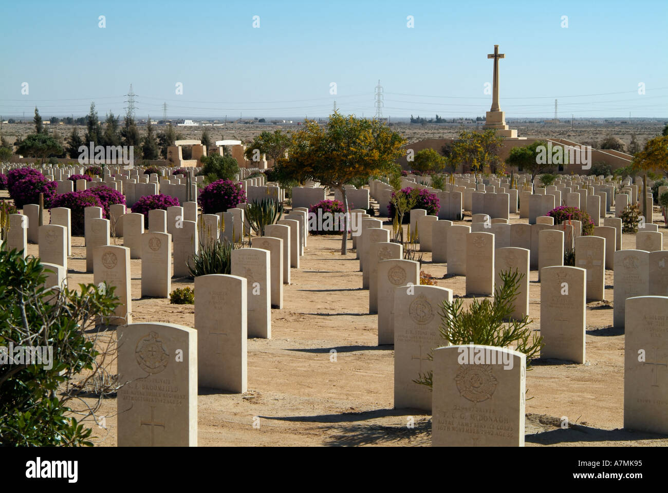 El Alamein (Al Alamein) war cemetery, El Alamein, Egypt Stock Photo - Alamy