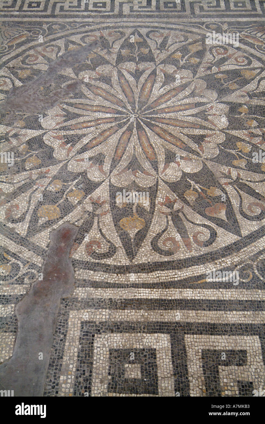 Mosaic, Greco-Roman Museum, Alexandria, Egypt Stock Photo - Alamy