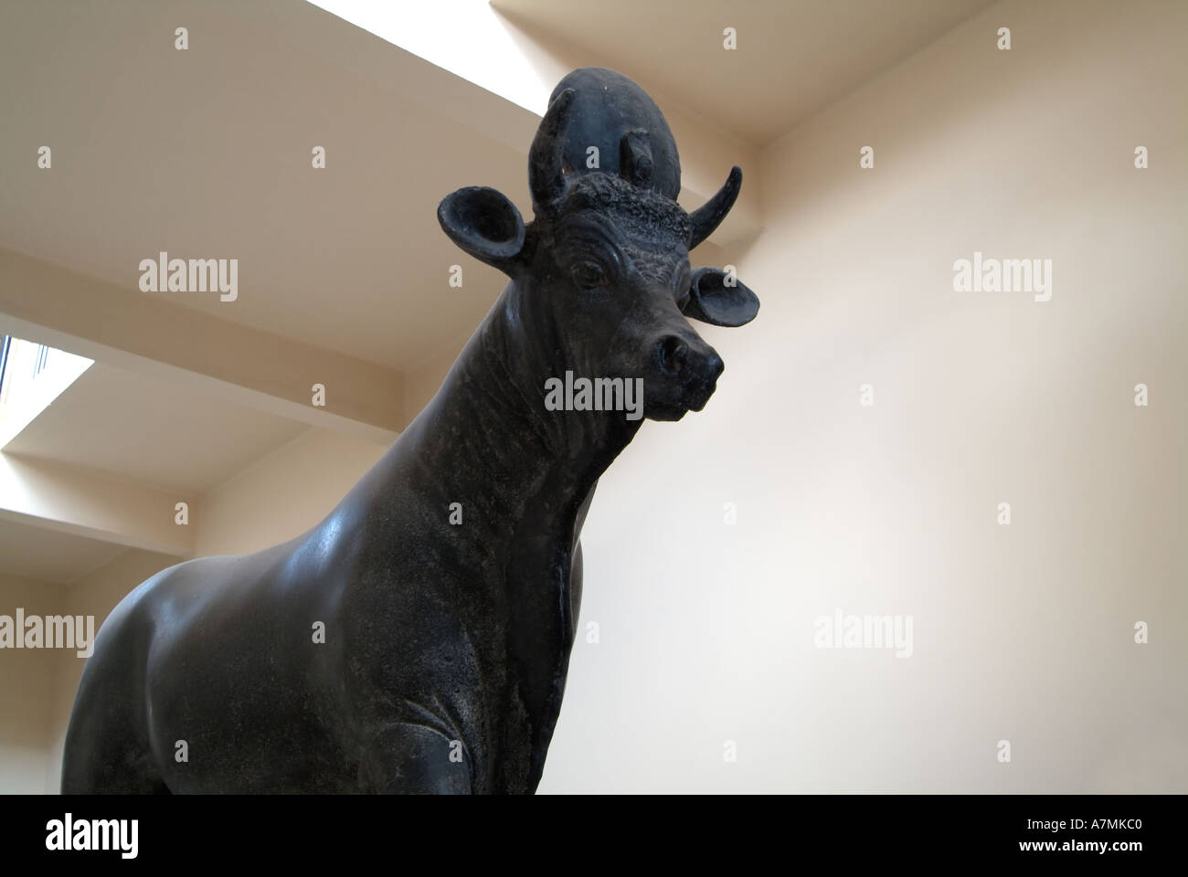 Statue of an Apis Bull, Greco-Roman Museum, Alexandria, Egypt Stock ...