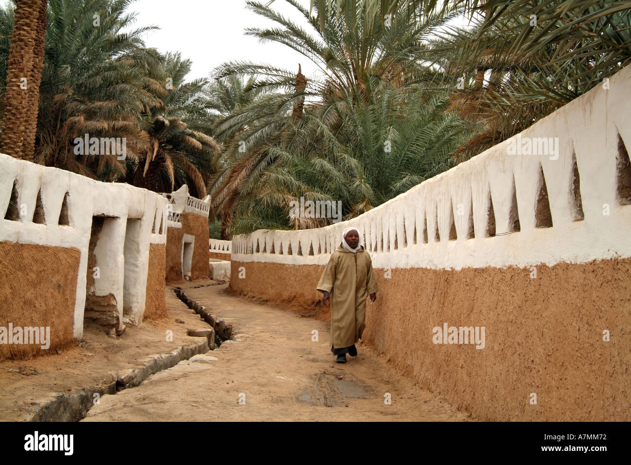 Desert irrigation libya hi-res stock photography and images - Alamy