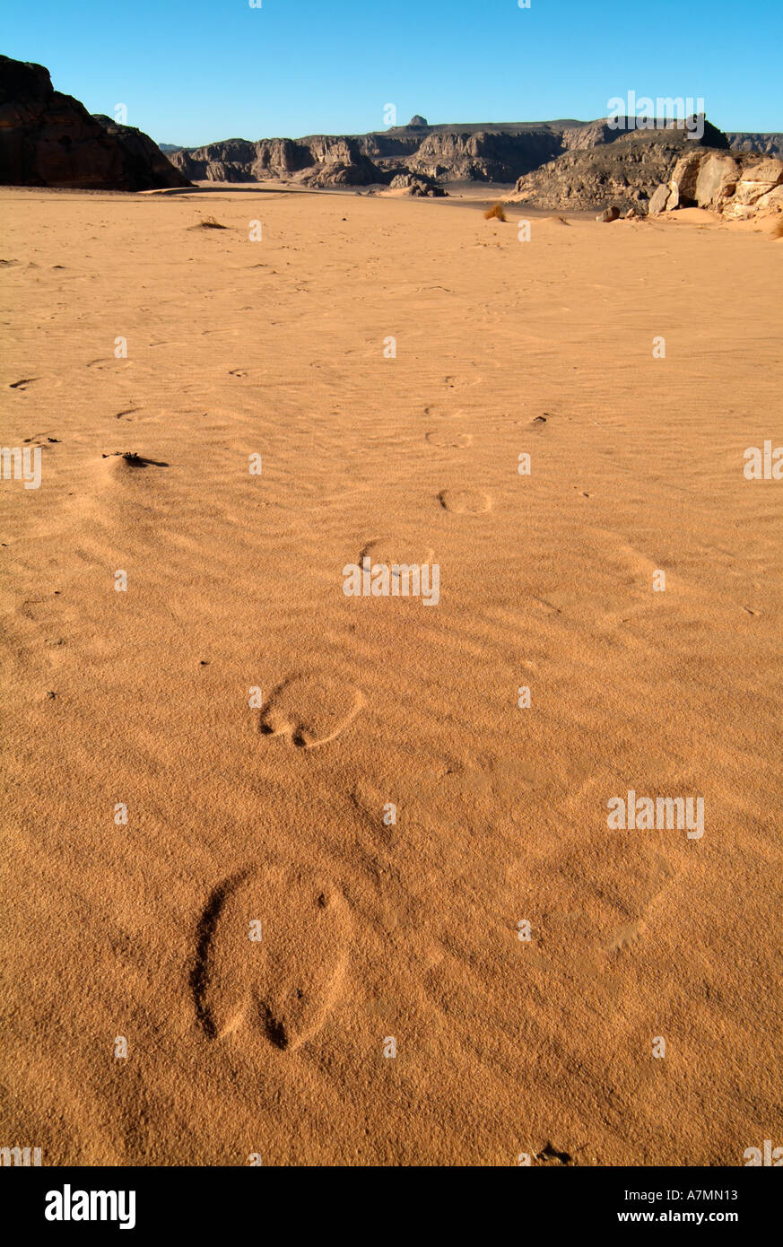 Camel tracks in the Jebel Acacus, Sahara Desert, Libya Stock Photo - Alamy