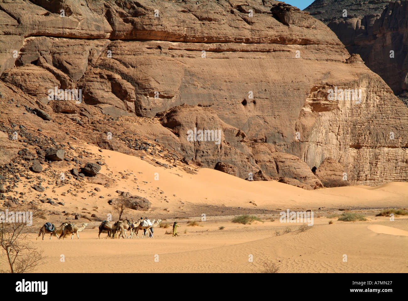 Tuareg camel train, Jebel Acacus, Sahara Desert, Libya Stock Photo - Alamy
