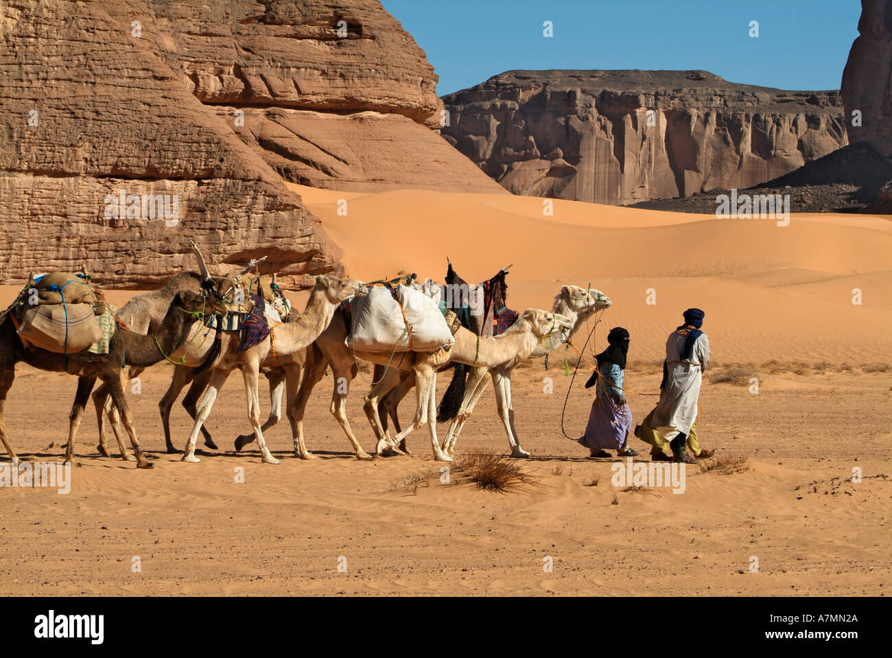 Tuareg camel train sahara desert hi-res stock photography and images ...