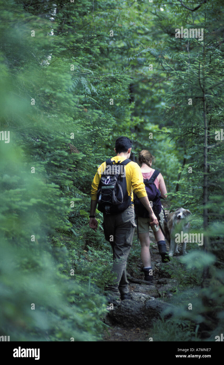 US, NH, Hiking between Stairs Mountain and Mt. Resolution, White ...