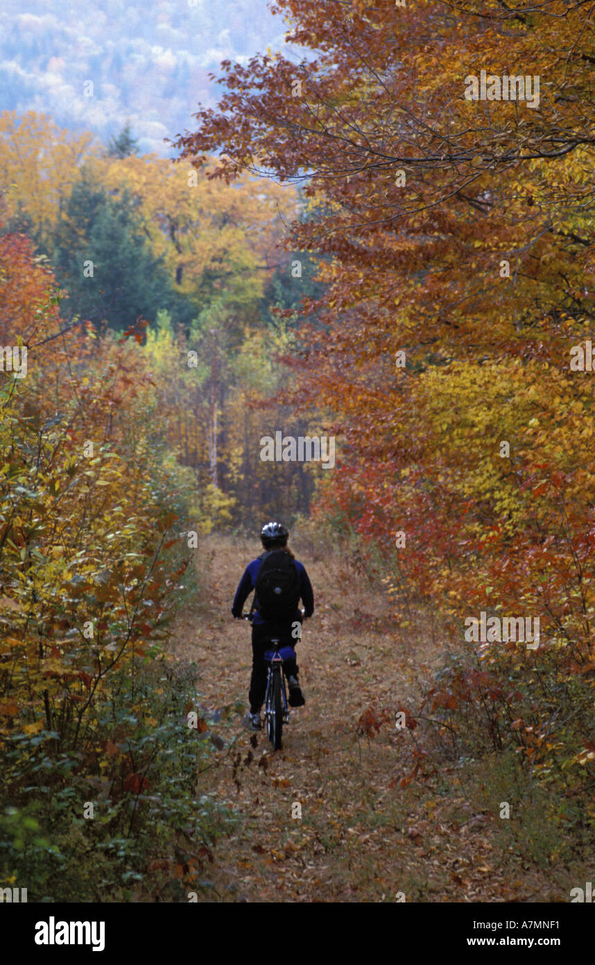 Appalachian mountain logging hi-res stock photography and images - Alamy