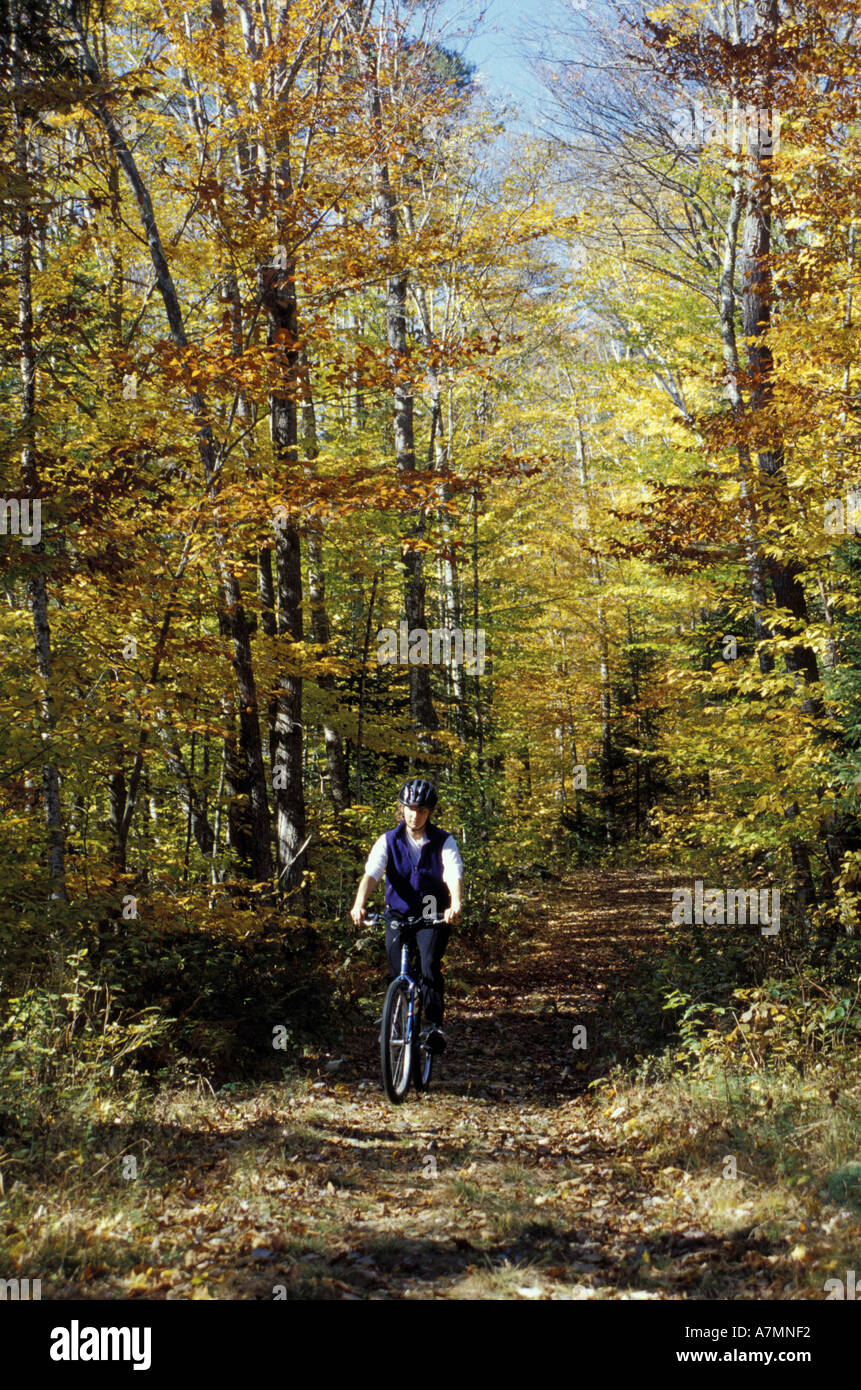 Ellsworth pond loop hi-res stock photography and images - Alamy