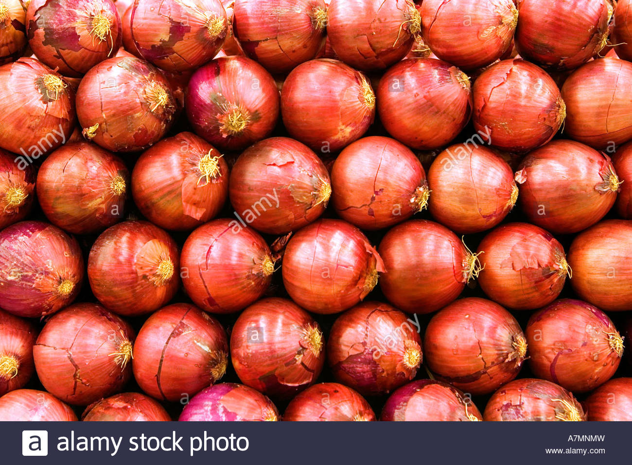 Onions Display Stock Photos & Onions Display Stock Images - Alamy