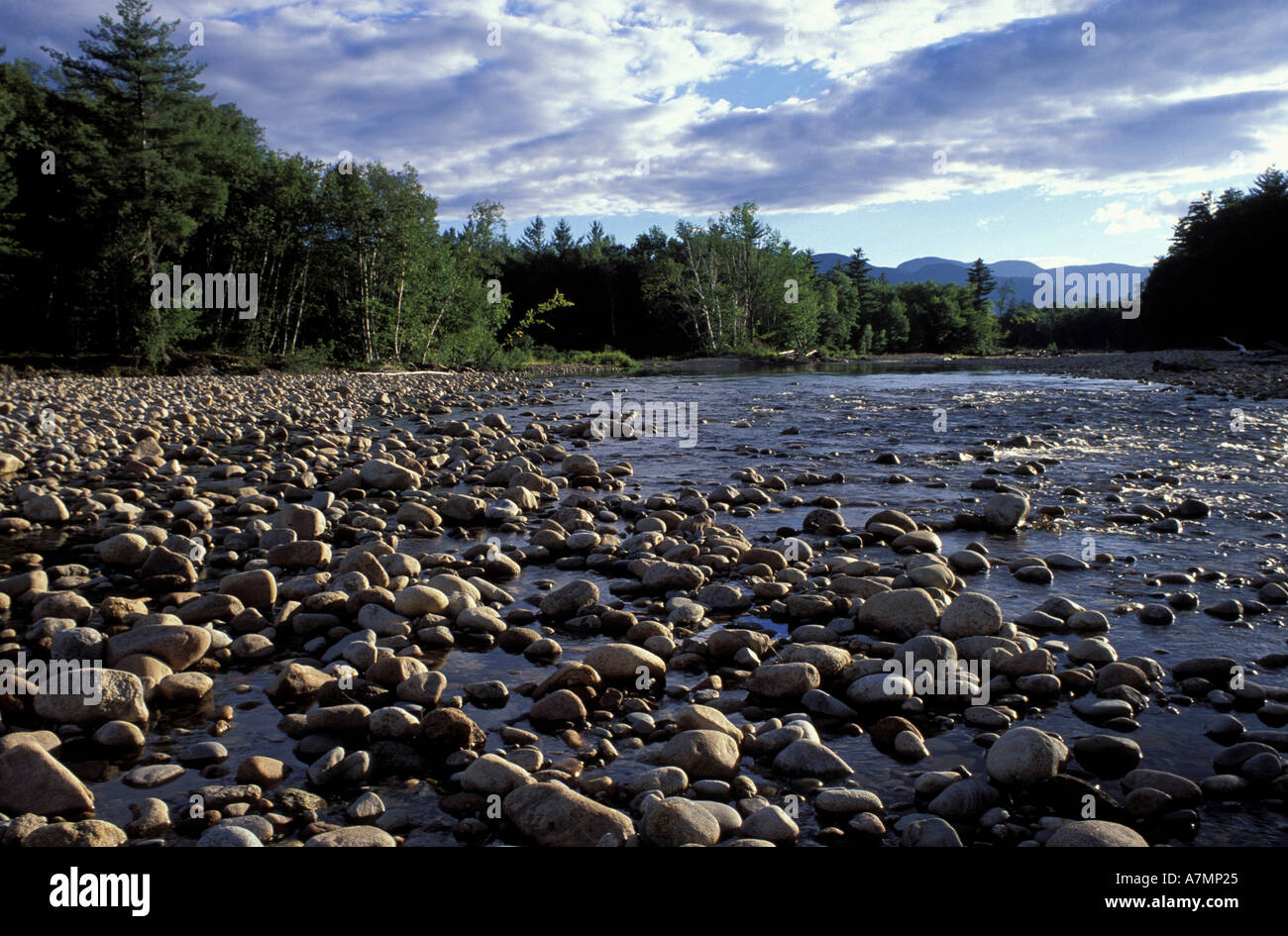 North America, US, NH, Saco River. The Cohos Trail begins along the ...