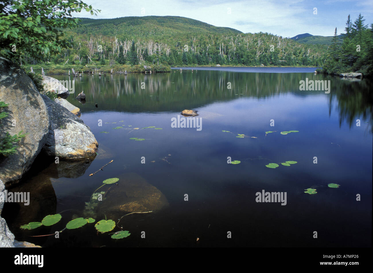 White mountain n f nh pond hi-res stock photography and images - Alamy