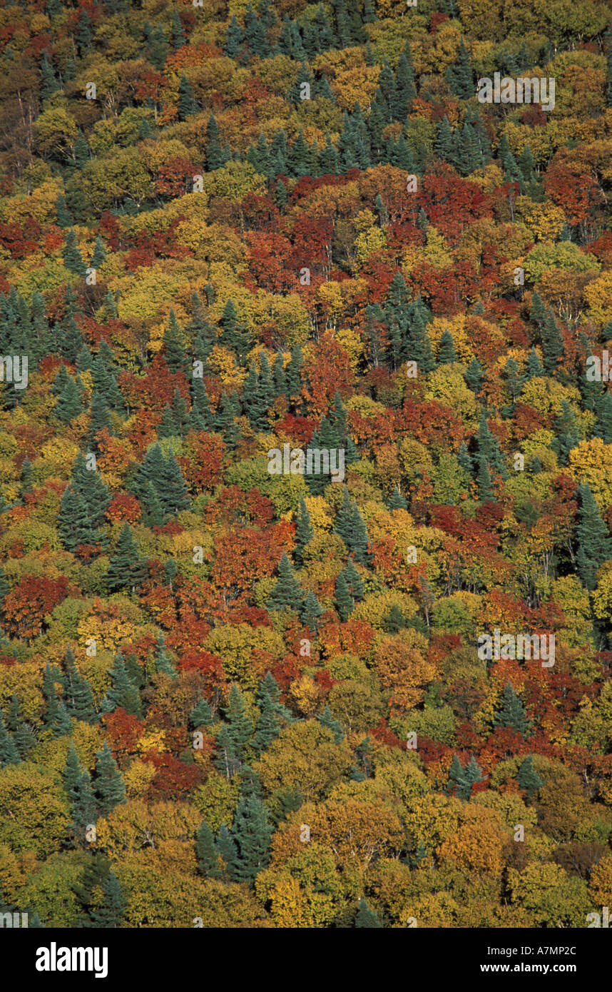 Mt lafayette hi-res stock photography and images - Alamy