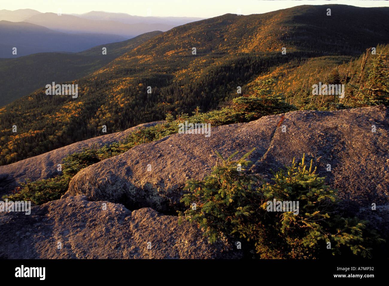 North America, US, NH, Deciduous Forest. The colors of early fall are ...
