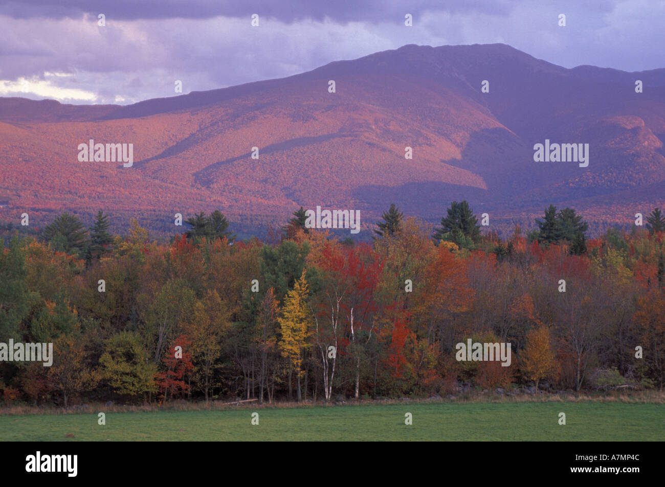 North America, US, NH, Fall Foliage. Mt. Lafayette as seen from Sugar ...