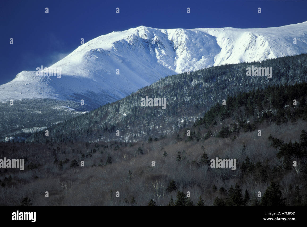 North America, US, NH, Mt. Washington. Huntington Ravine as seen from ...