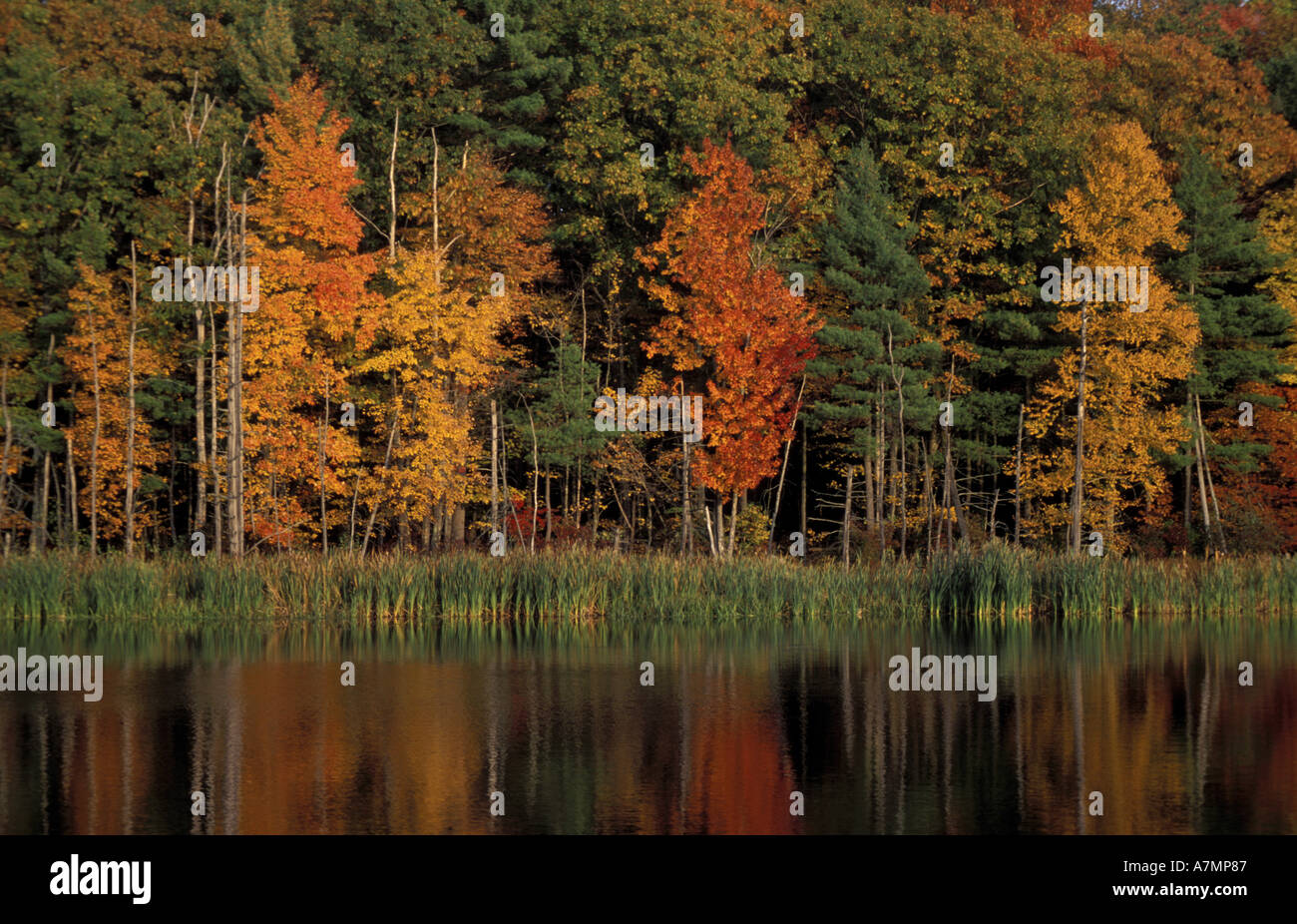 New hampshire wetlands hi-res stock photography and images - Alamy