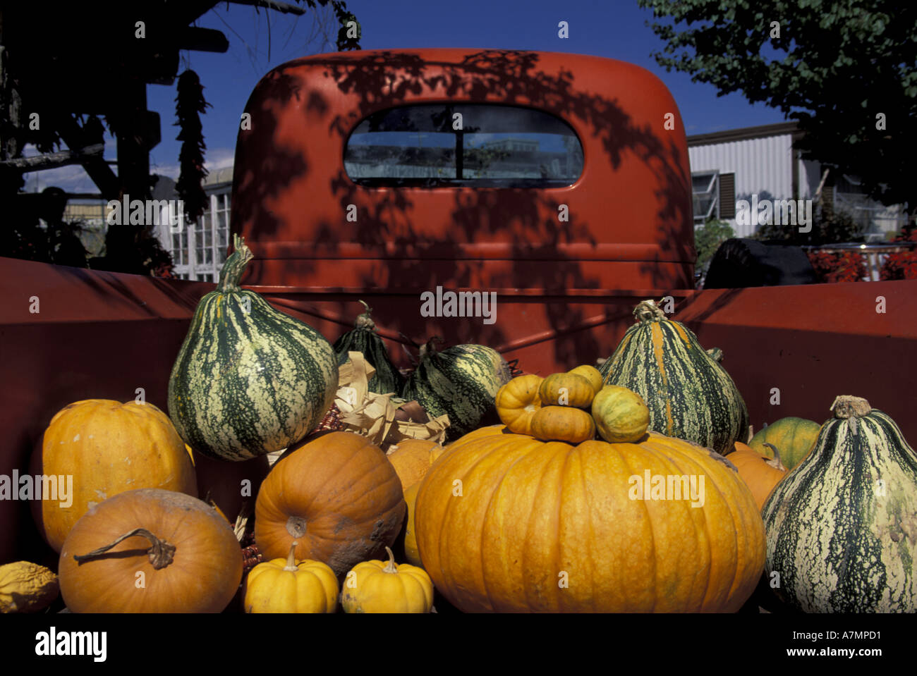 New mexico chile farm hi-res stock photography and images - Alamy