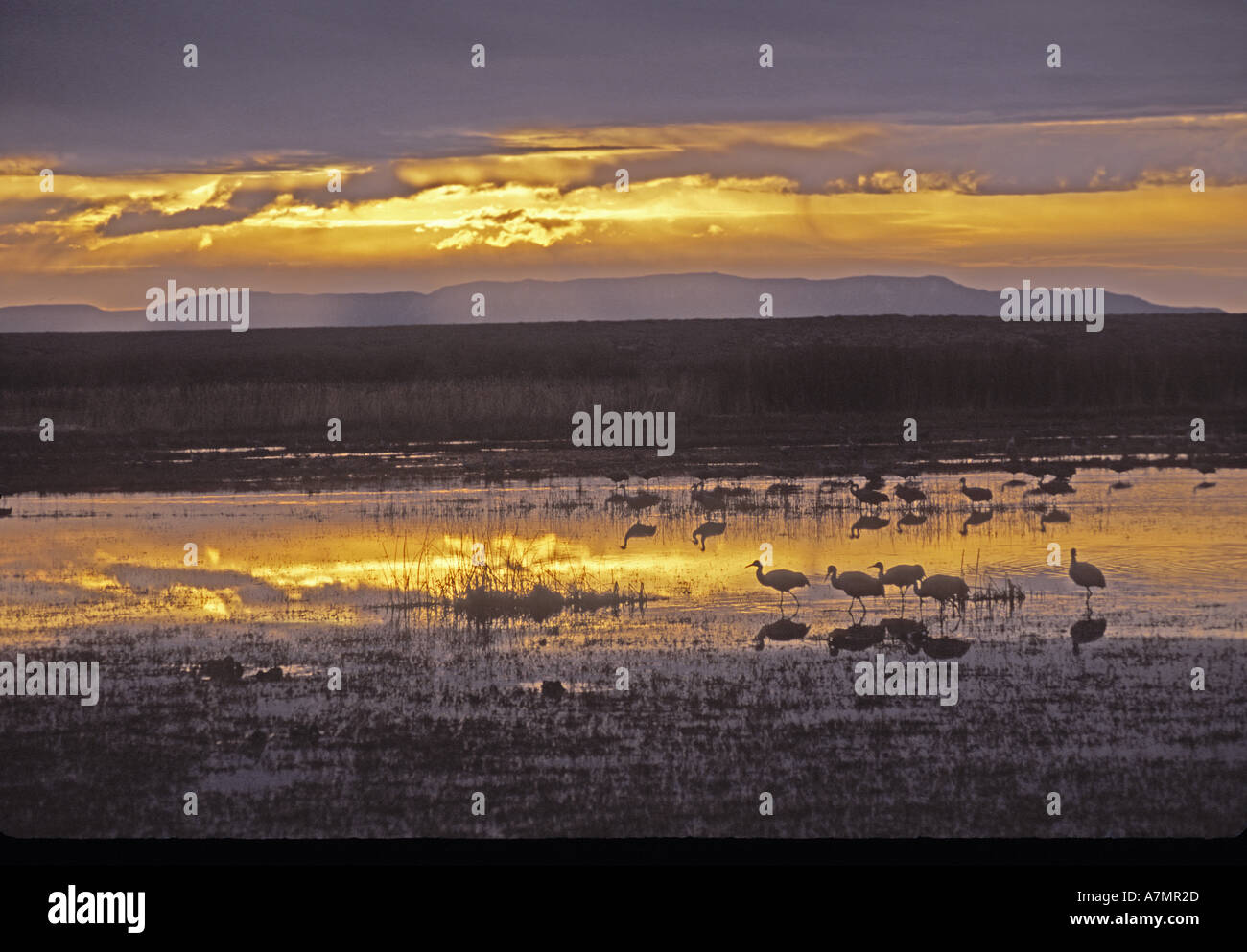 The stand at apache river hi-res stock photography and images - Alamy