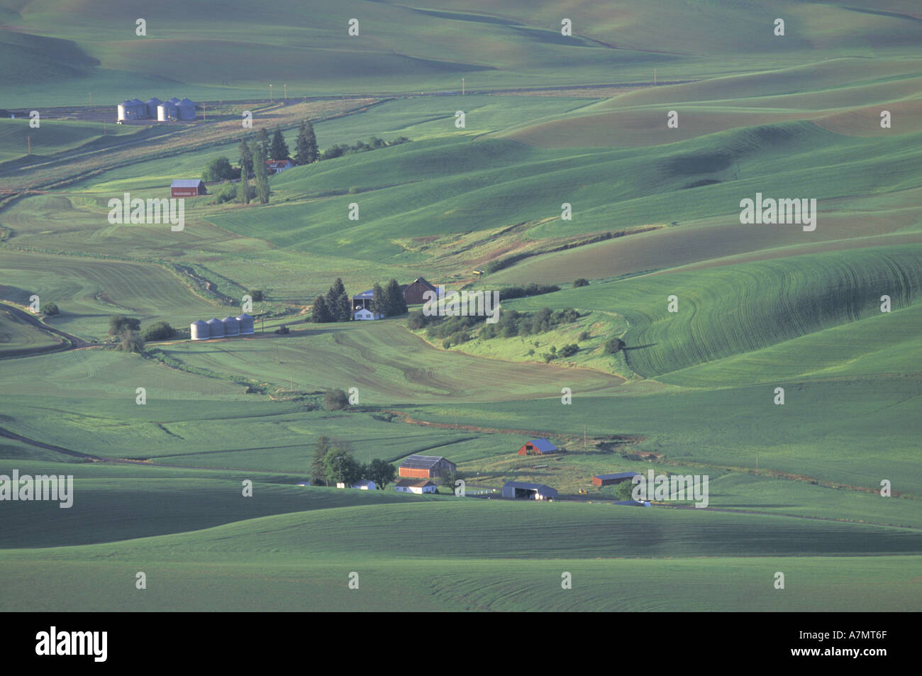 N.A., USA, Washington, Palouse farming region, near Colfax; Contour ...
