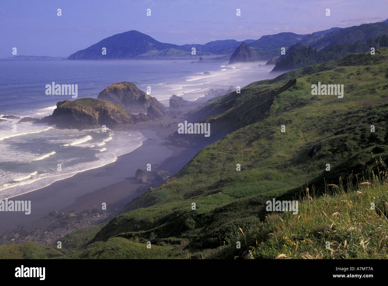 Nesika hi-res stock photography and images - Alamy