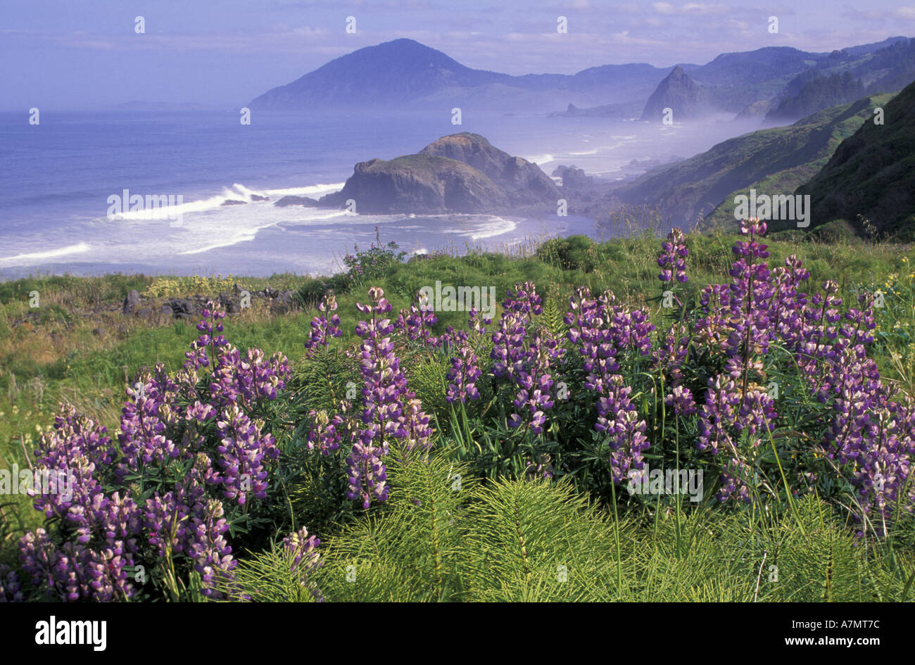 Nesika beach hi-res stock photography and images - Alamy