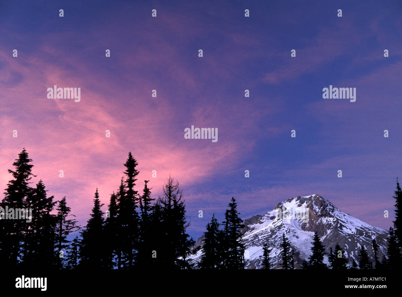 USA, Oregon, Mount Hood from Timberline highway, sunset Stock Photo - Alamy