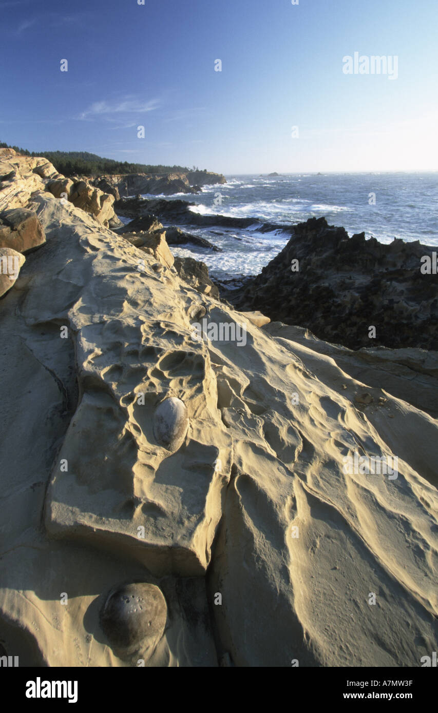 North America, U.S.A., Oregon, Shore Arches State Park Sandstone along ...