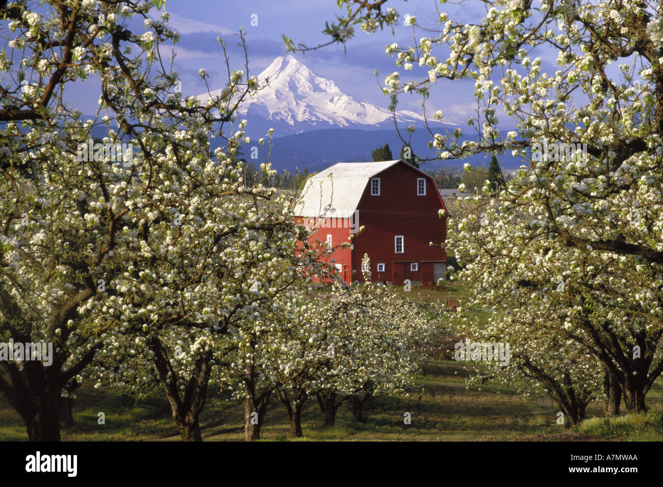 Hood river red barn hi-res stock photography and images - Alamy