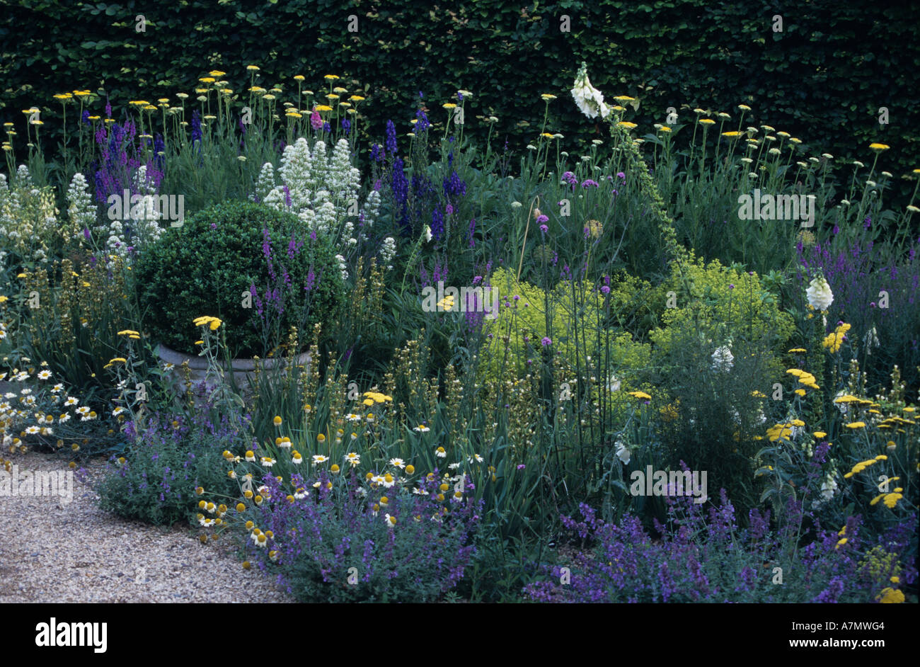 Mixed planted border in Oxfordshire Stock Photo - Alamy