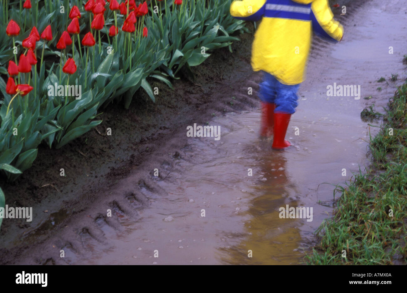 Boy Jumping In Puddle Stock Photos & Boy Jumping In Puddle Stock Images ...