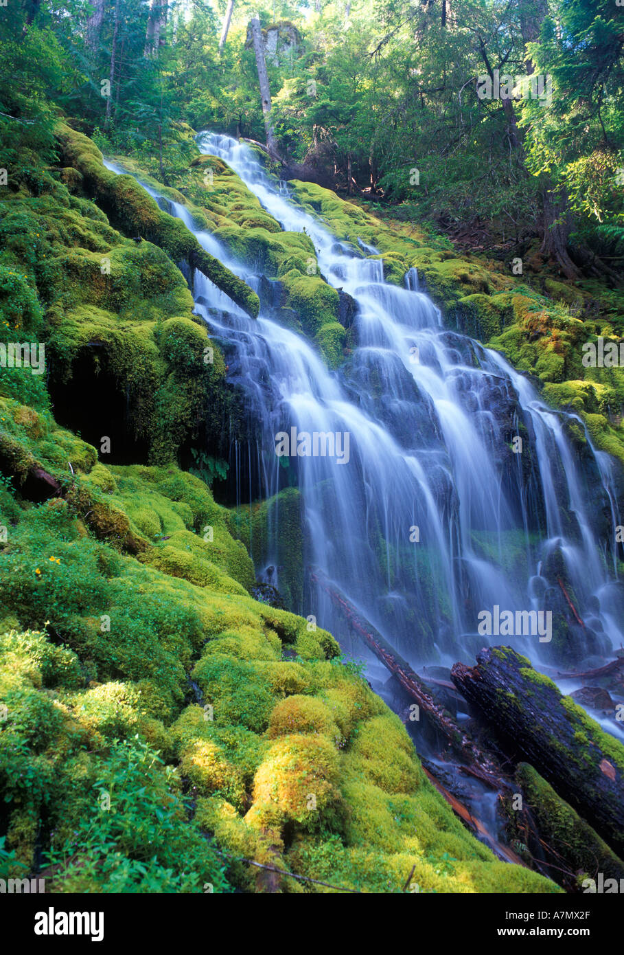 Waterfall central oregon cascades hi-res stock photography and images ...