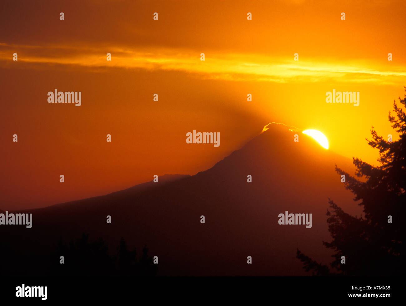 Sunrise over Mt. Hood in the Oregon Cascades Stock Photo - Alamy