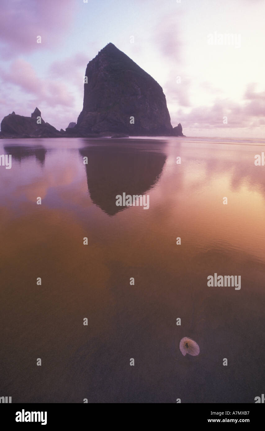 Haystack Rock, Cannon Beach, Oregon Coast, Sunset Stock Photo - Alamy