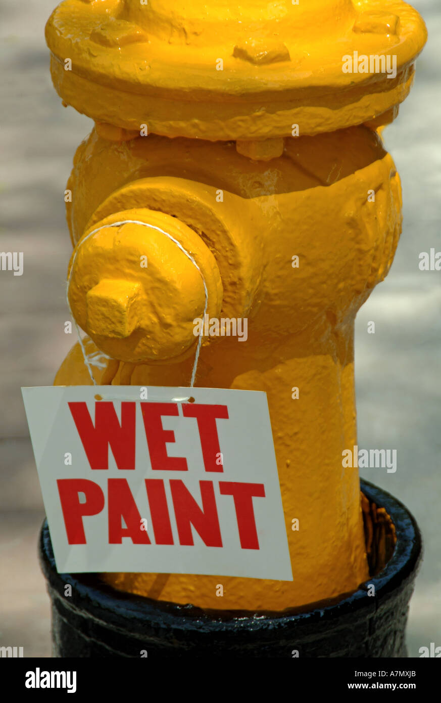 Freshly painted fire hydrant Stock Photo - Alamy