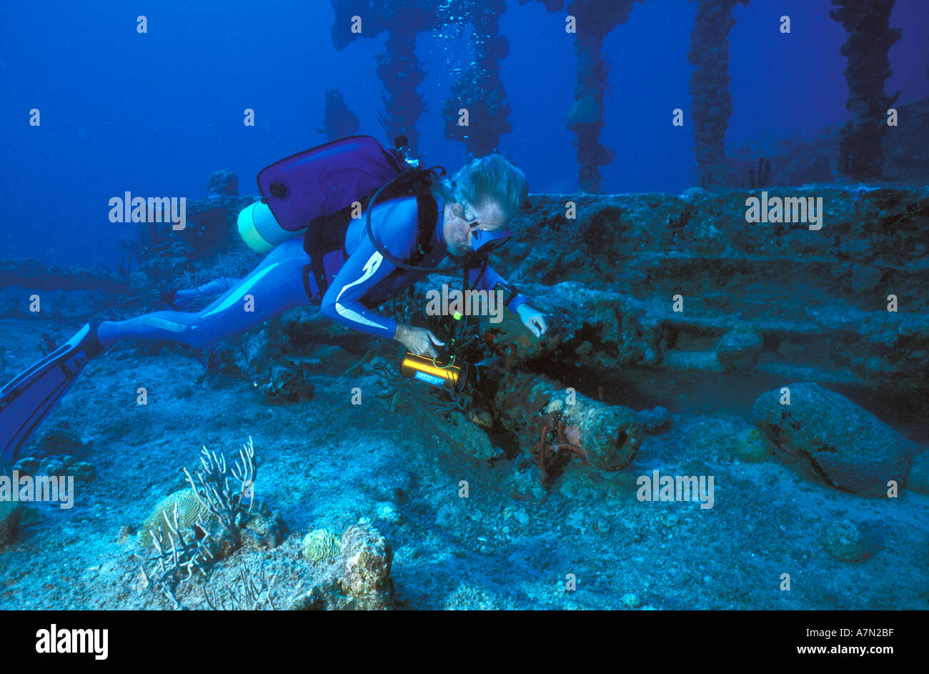 British Virgin Islands diving the wreck of rhe RMS Rhone Stock Photo ...