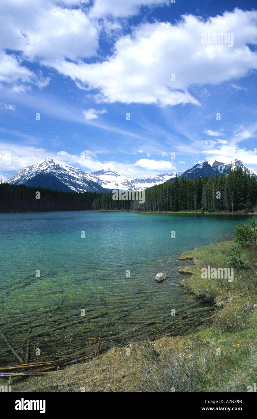 Hector Lake in Banff national park Canada hector lake water clear ...