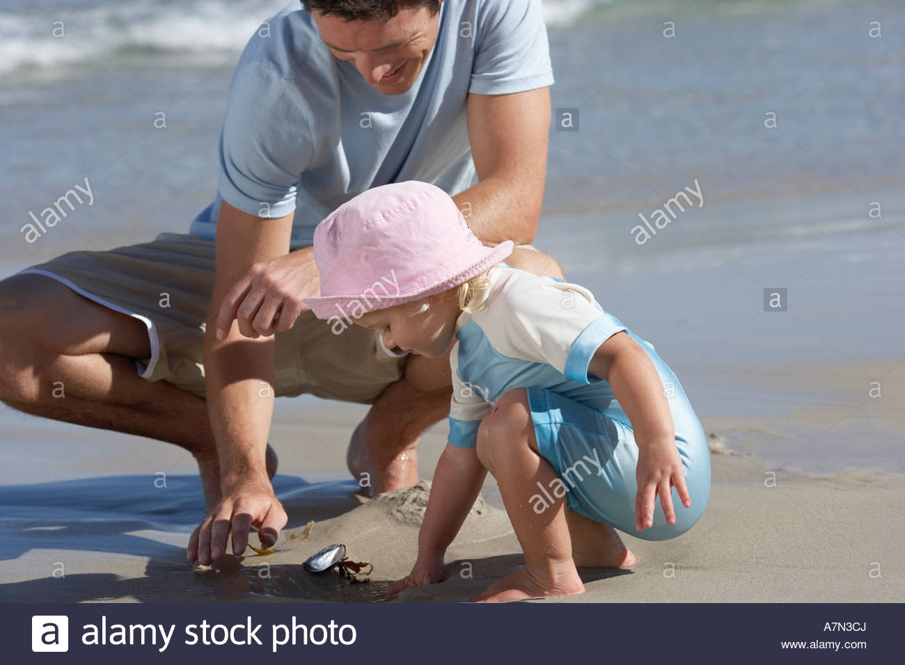 Searching For Shells Stock Photos & Searching For Shells Stock Images ...