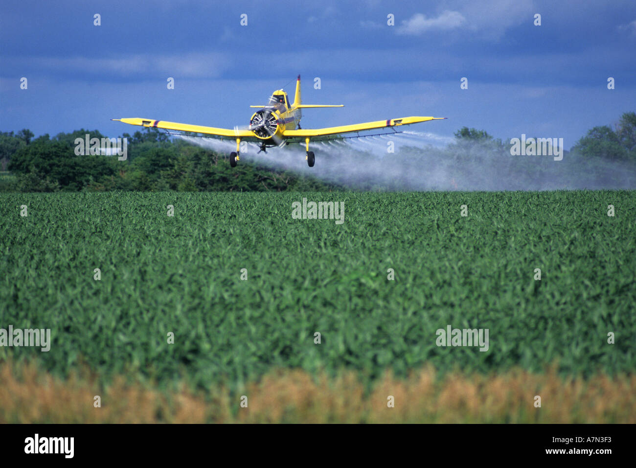 Cropdusting a corn field in Saline County Nebraska Stock Photo - Alamy