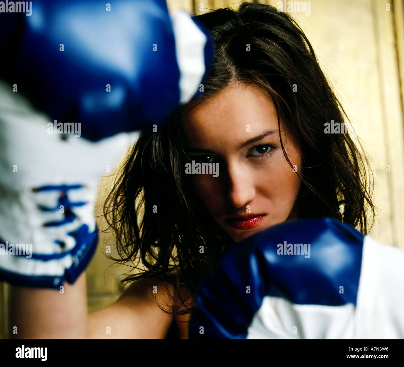 indoor studio woman young girl 20 25 brunette long hair boxing glove ...