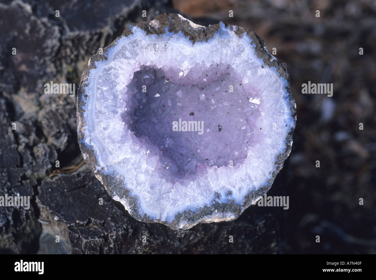 A thunderegg also known as a geode Stock Photo - Alamy