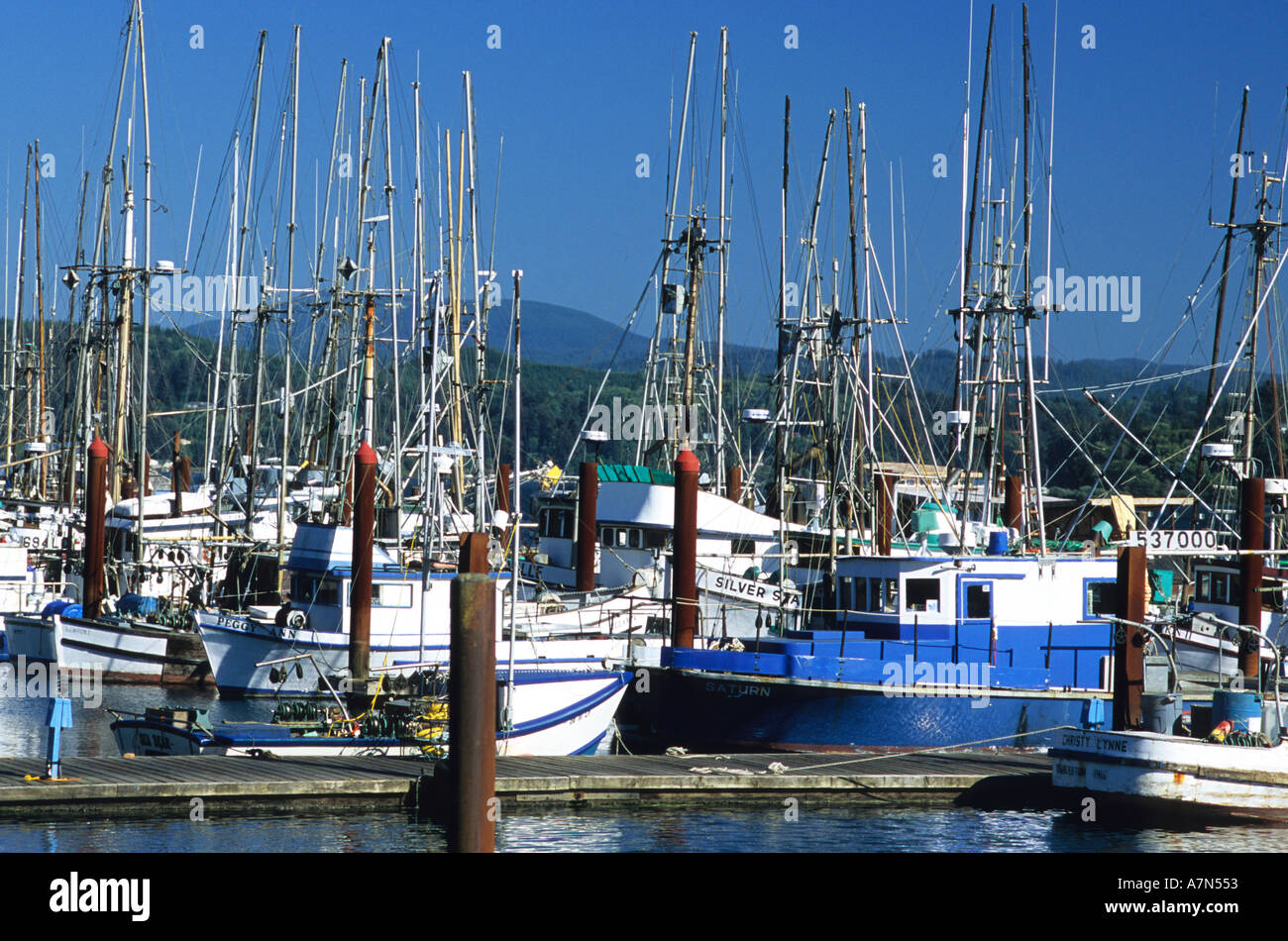 Fishing boats docked in Newport Oregon boats sailboats fishing dock ... Fishing boats docked in Newport Oregon boats sailboats fishing dock ...