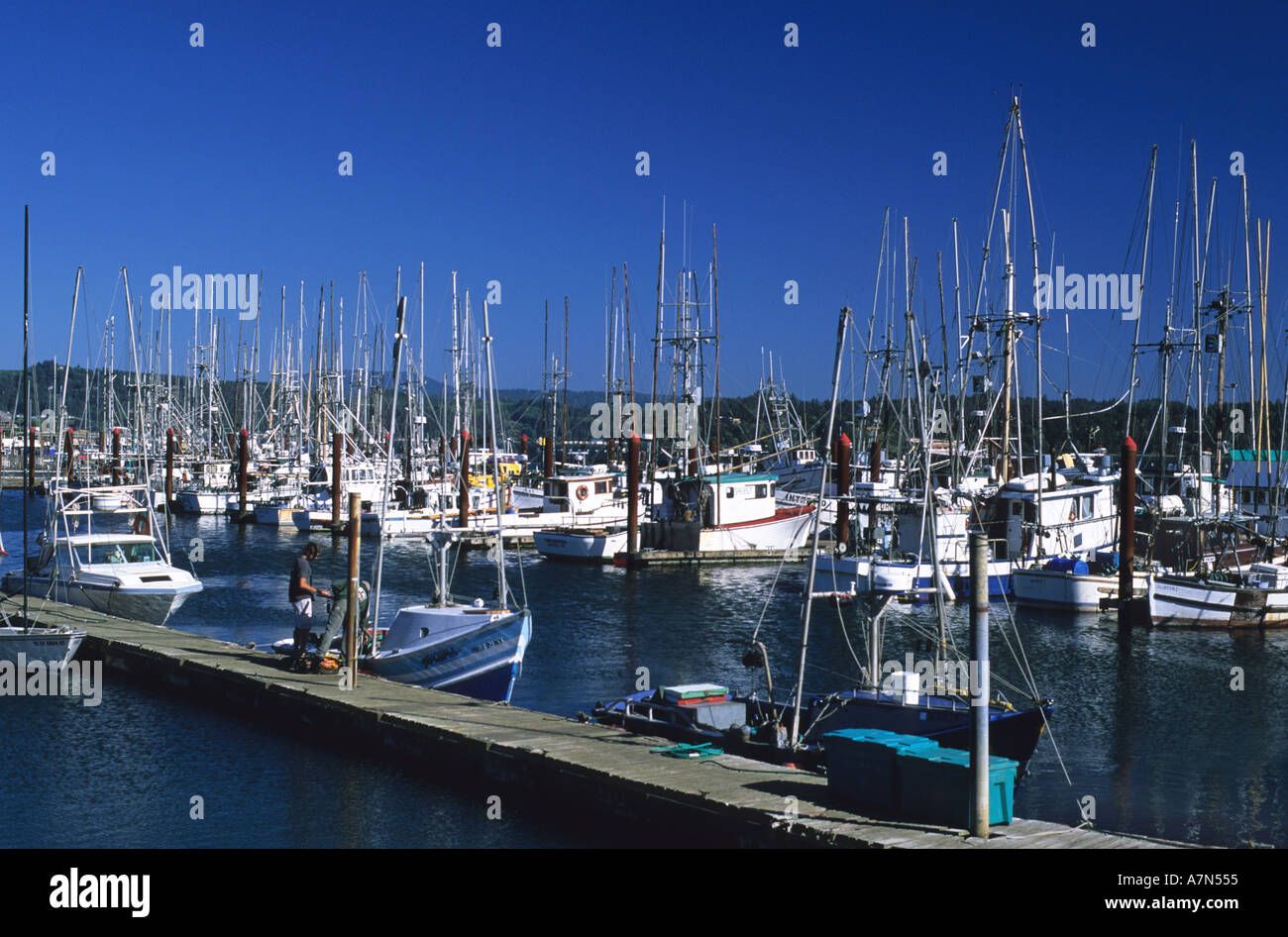 Fishing boats docked in Newport Oregon boats sailboats fishing dock ...
