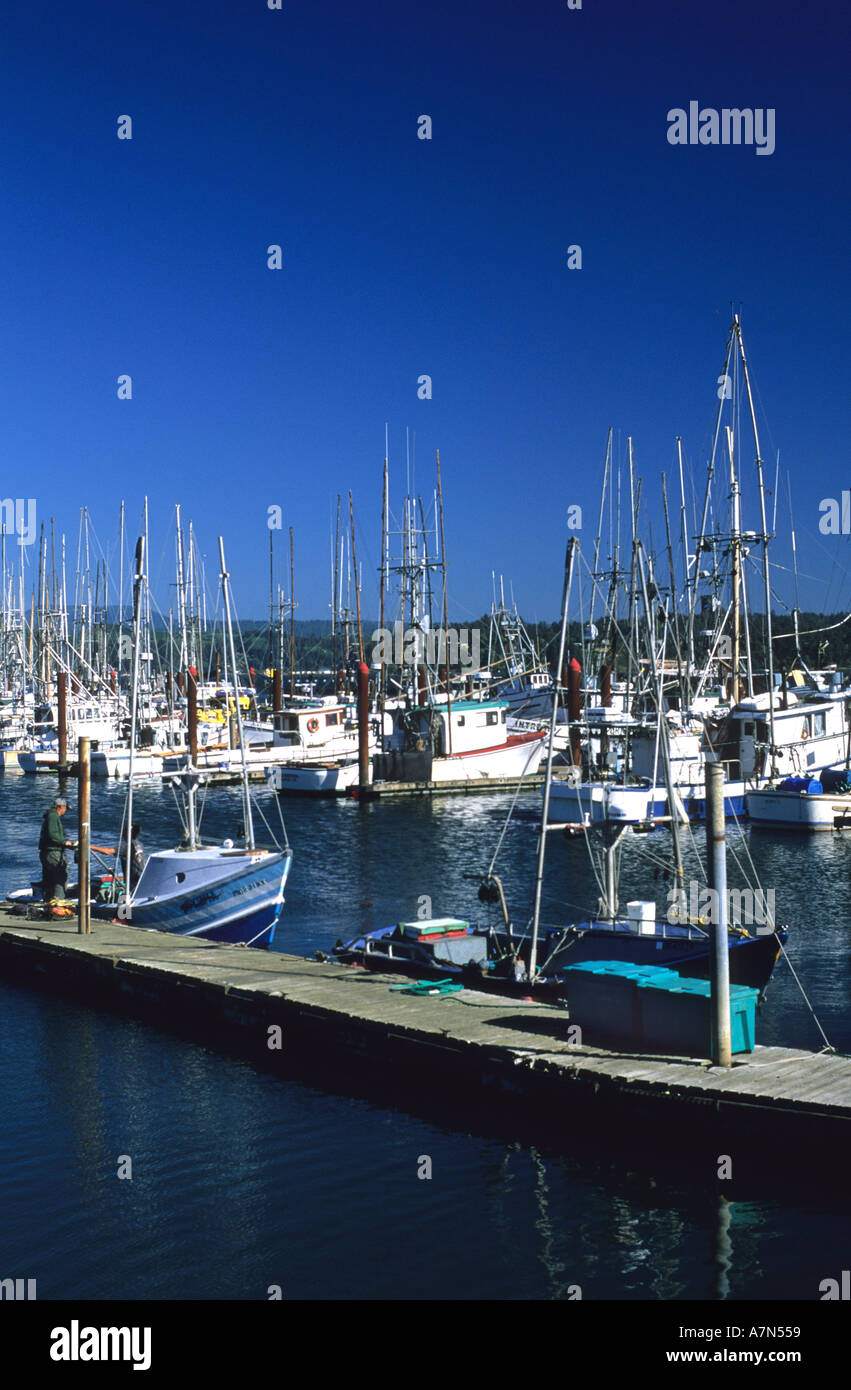Fishing boats docked in Newport Oregon boats sailboats fishing dock ...