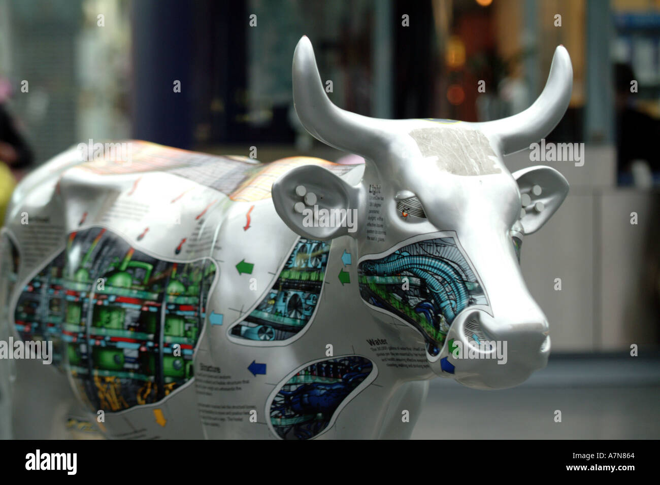 Silver cow hi-res stock photography and images - Alamy