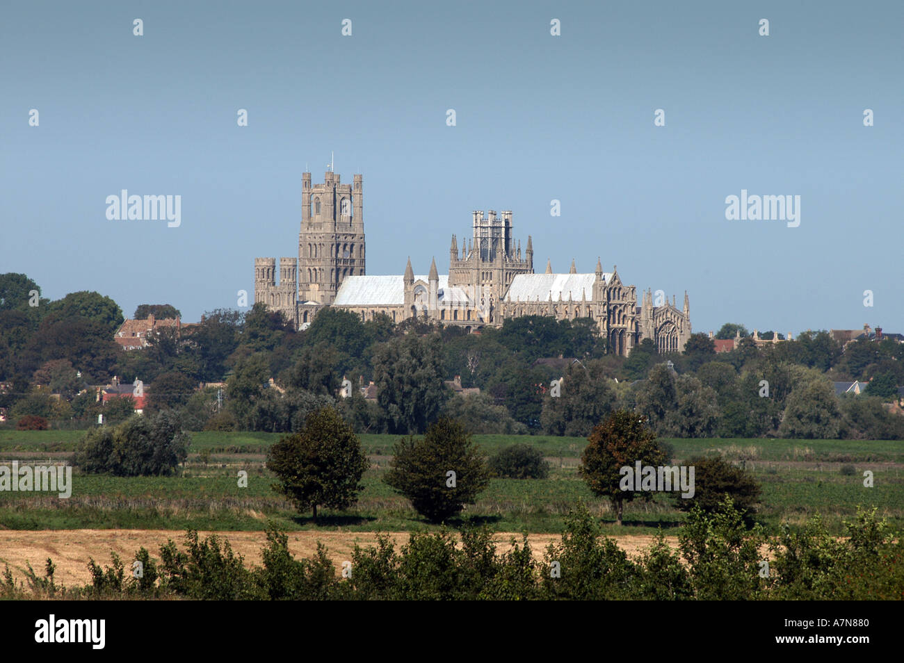 ELY CATHEDRAL CAMBRIDGESHIRE SITS HIGH ON THE ISLE OF ELY ABOVE THE ...