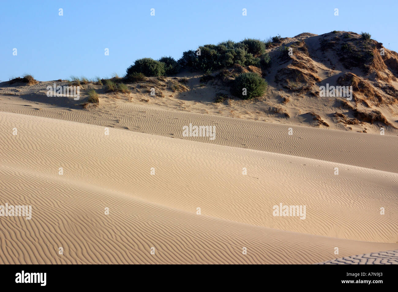 Oceano Sand Dunes Stock Photo - Alamy