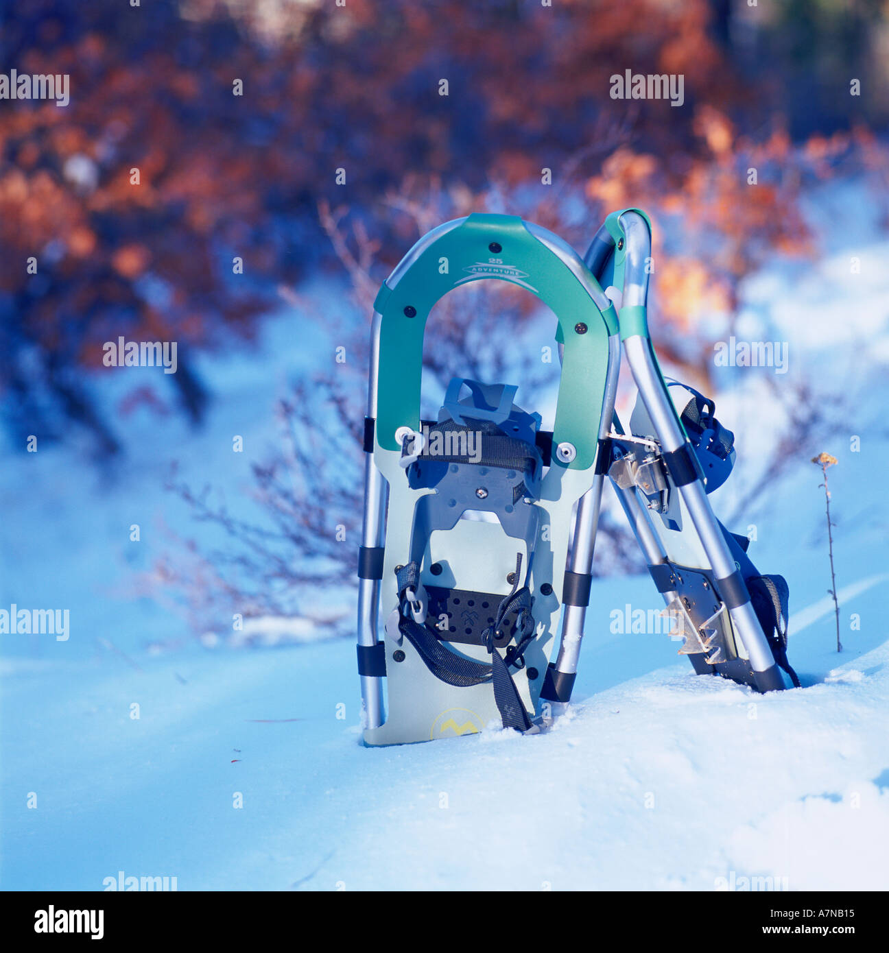 Modern snowshoes hi-res stock photography and images - Alamy