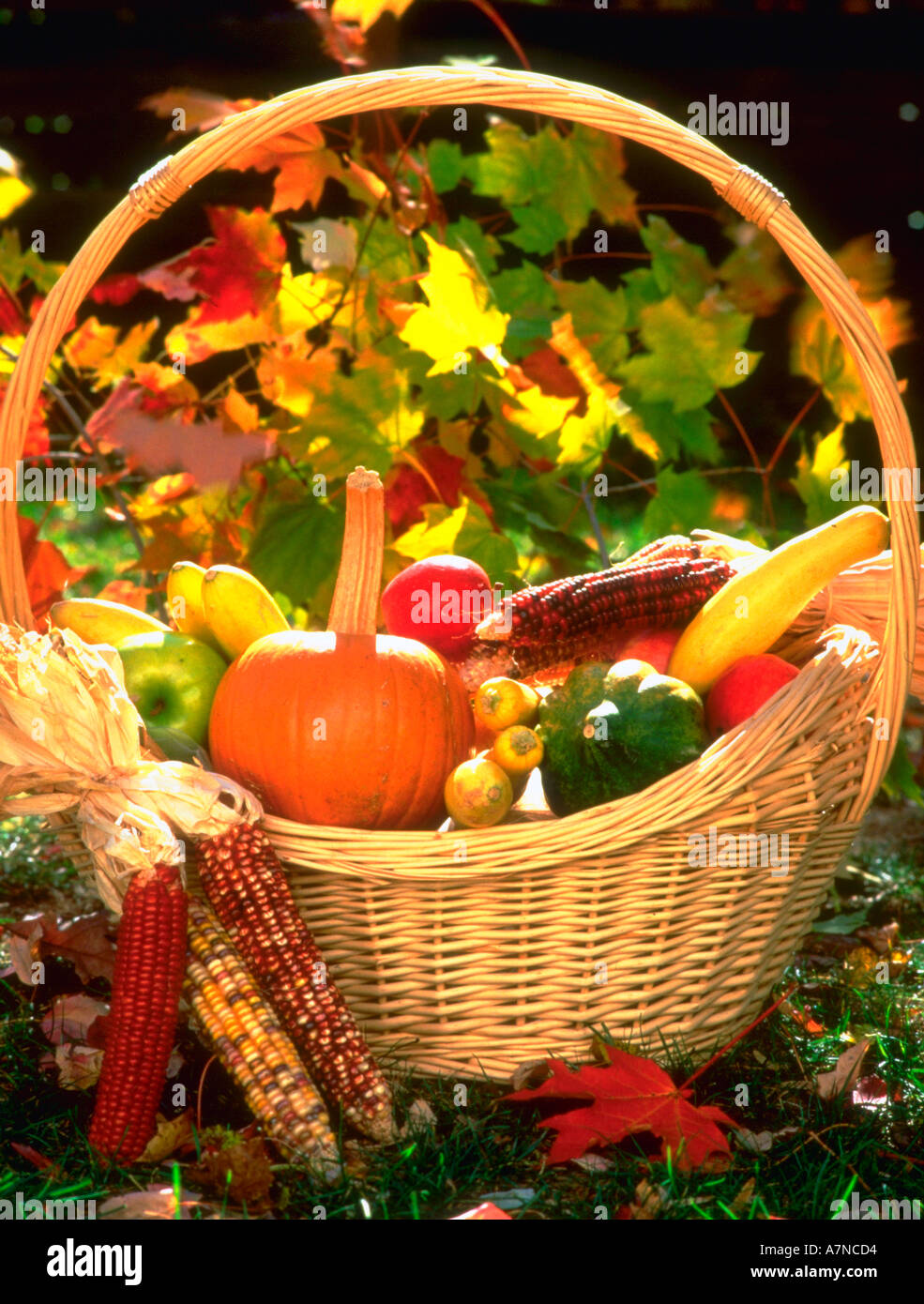 Basket of autumn fruits and vegetables against fall foliage Stock Photo ...